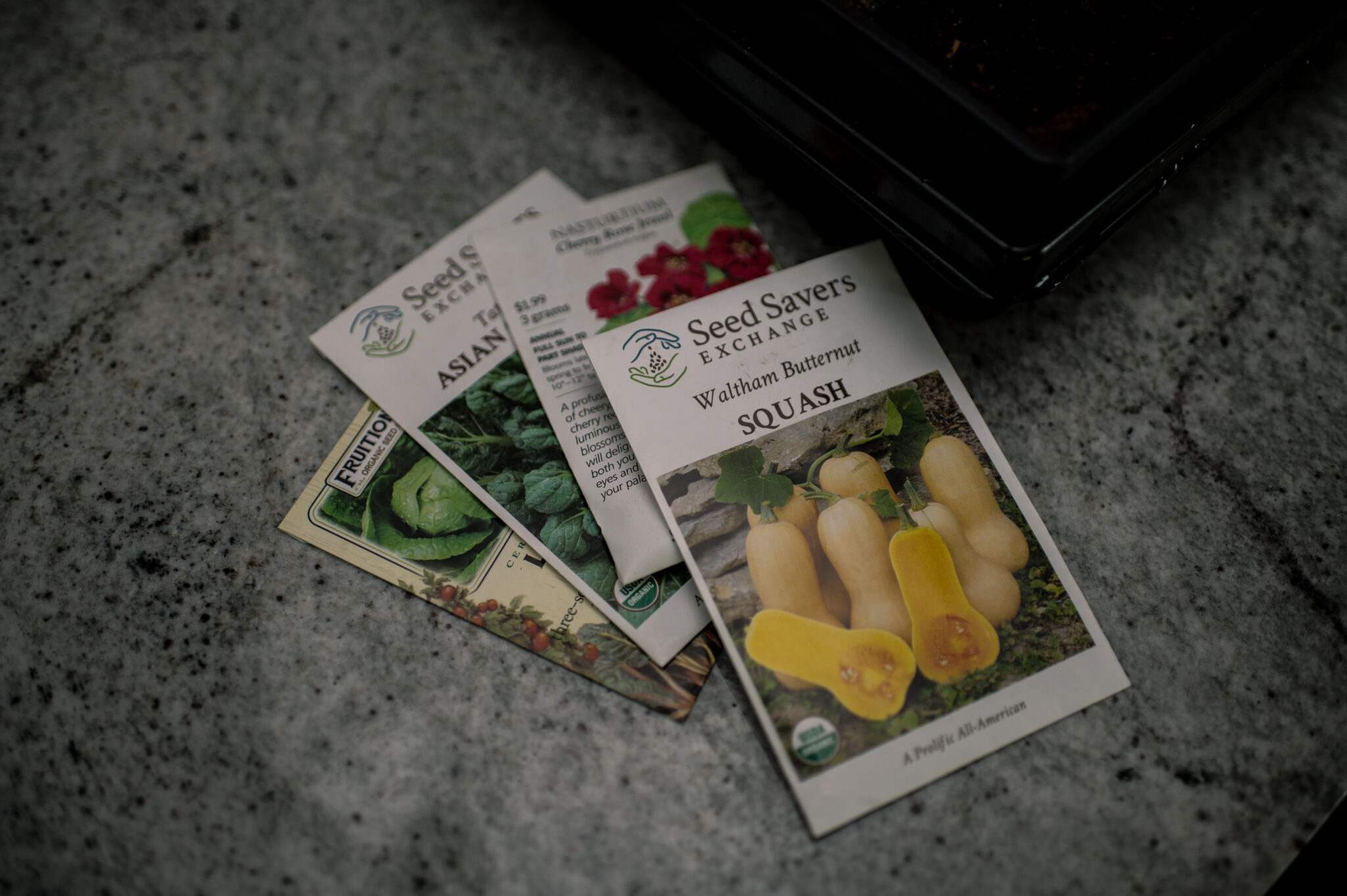 Read This Before You Buy Seeds - Patio Produce
